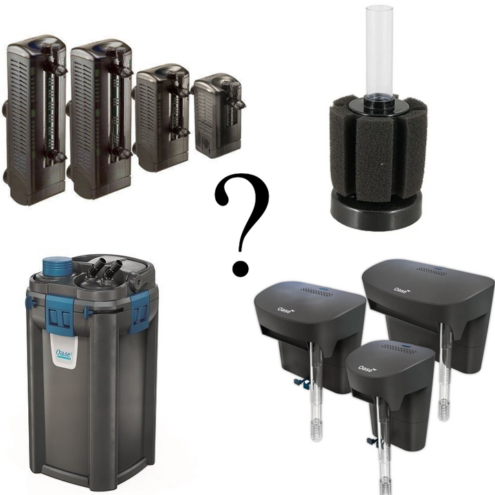 Fishkeeping Focus Friday – Highland Fishkeeping