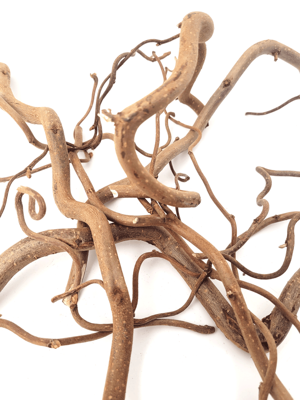 Twisted Root – Highland Fishkeeping